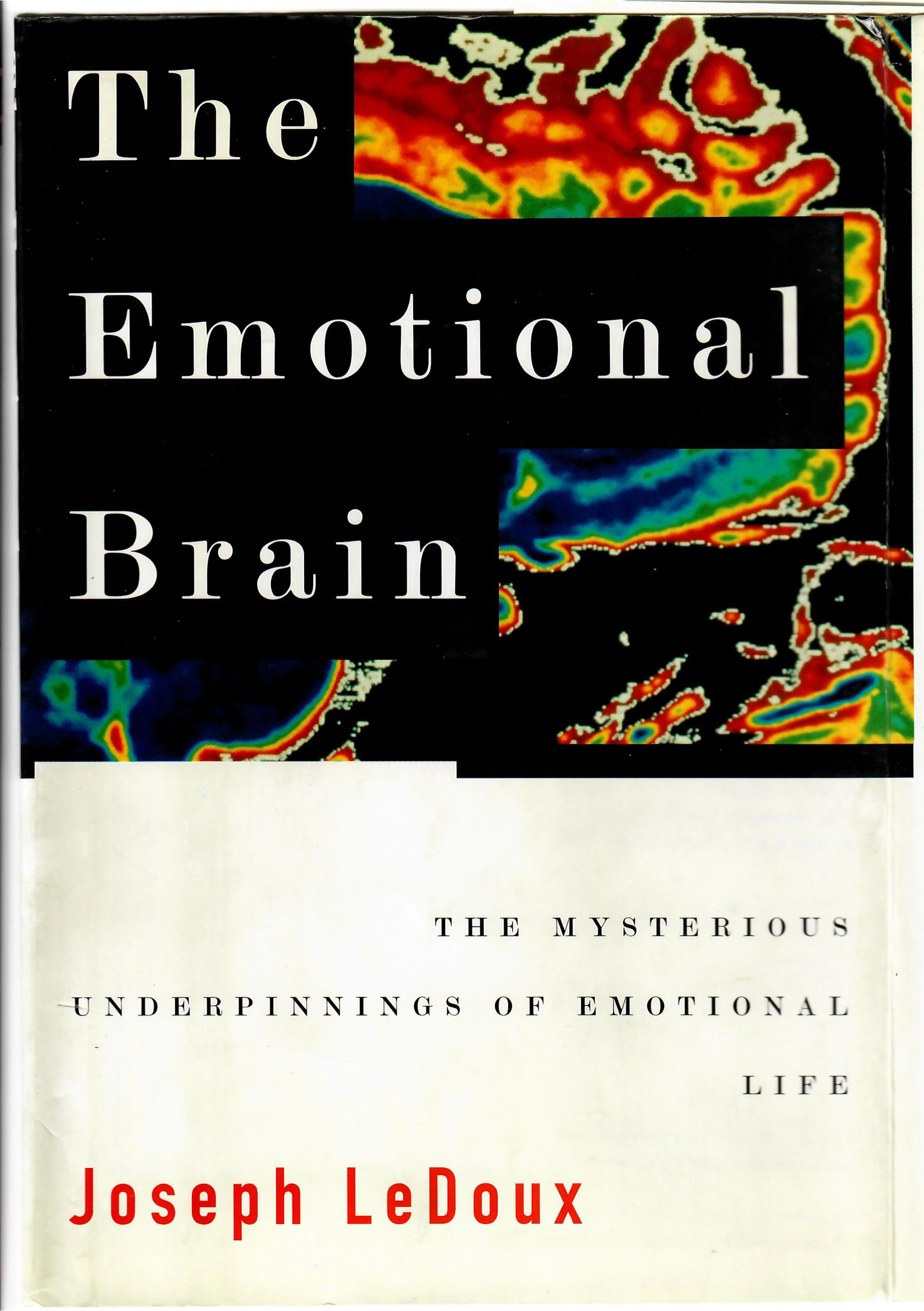 The Emotional Brain | Joseph LeDoux